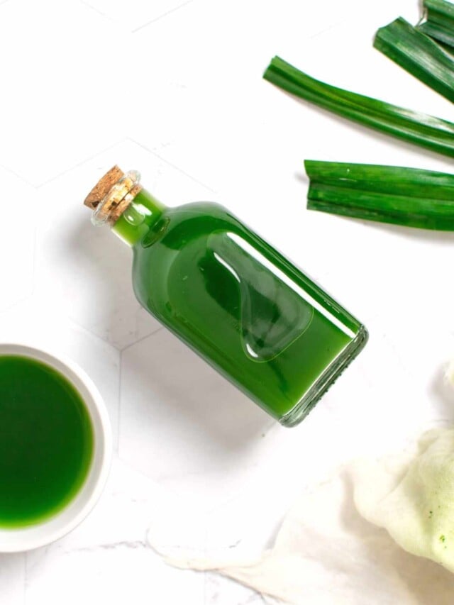 How to make Pandan Extract from scratch - SugarYums