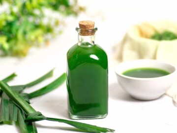 How to make Pandan Extract from scratch - SugarYums