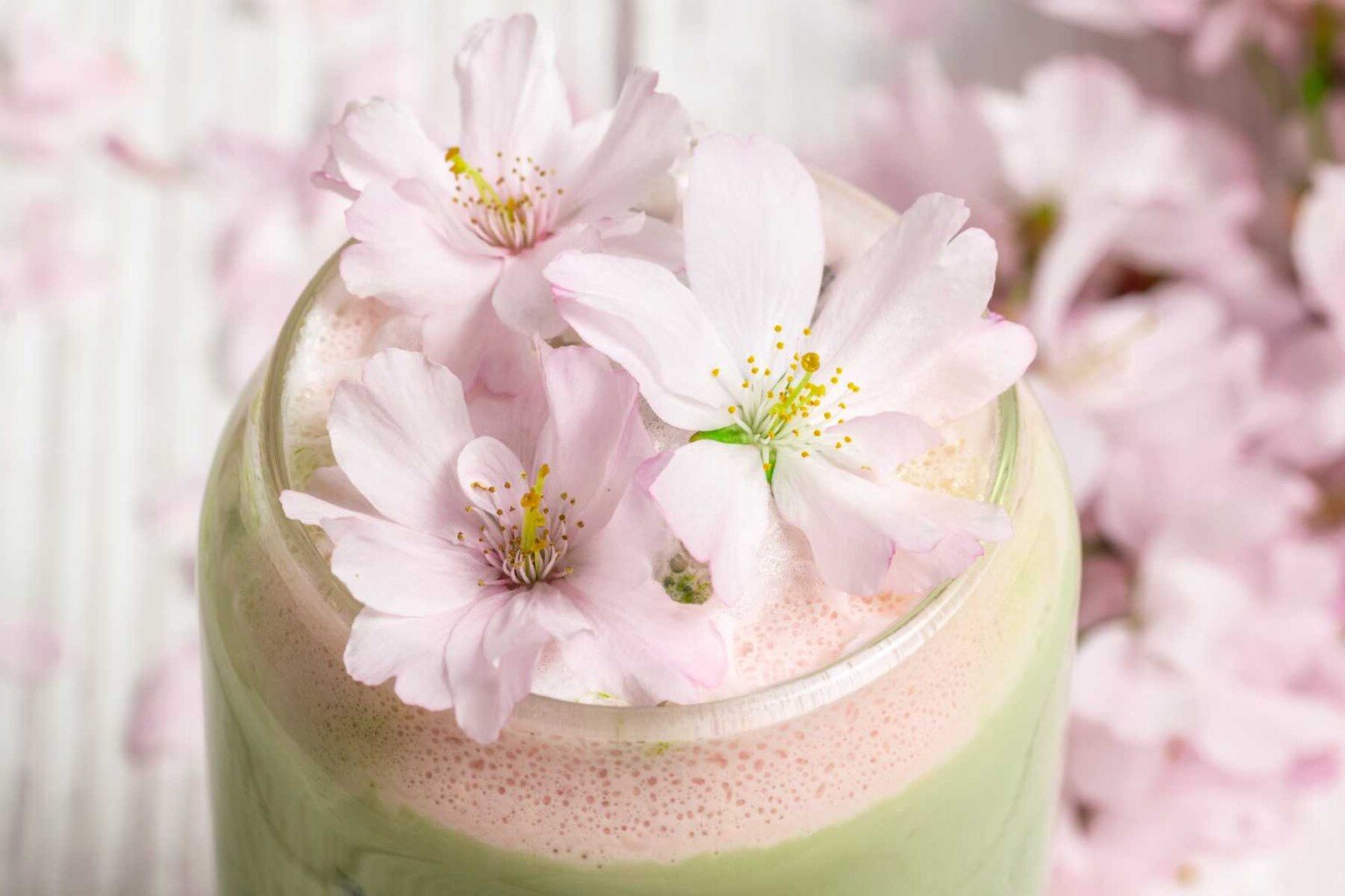 Cherry Blossom Matcha Sakura Latte Recipe - SugarYums